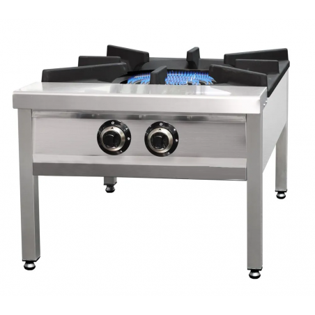 Réchaud à gaz 2 brûleurs professionnel